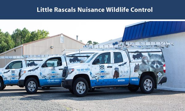 COWLEYS PEST SERVICES - Updated December 2025 - 95 Photos & 31 Reviews ...