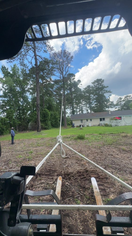 L&L TREE SERVICES - Updated October 2025 - Request a Quote - 110 Joel St, Lake City, South ...