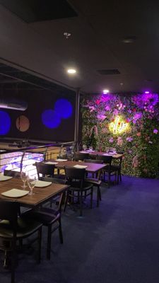 VOLO RESTAURANT LOUNGE - Updated September 2025 - 15 Photos & 12 ...