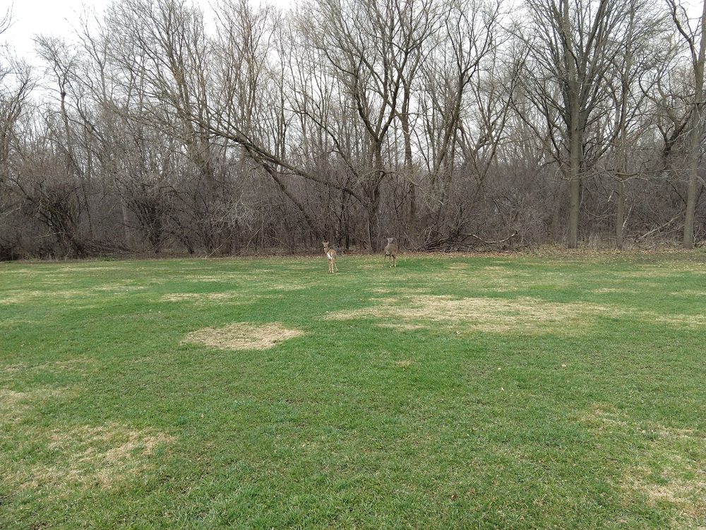 ROOT RIVER PARKWAY - 16 Photos - Parks - Root River Pkwy, Milwaukee, WI ...