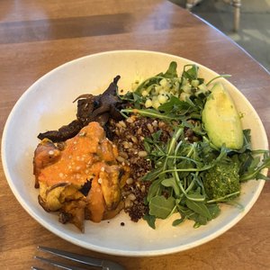 FLOWER CHILD - 822 Photos & 684 Reviews - 11721 Rock Rose Ave, Austin ...