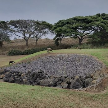 MAKANI GOLF CLUB - Updated December 2025 - 112 Photos & 44 Reviews - 71 ...