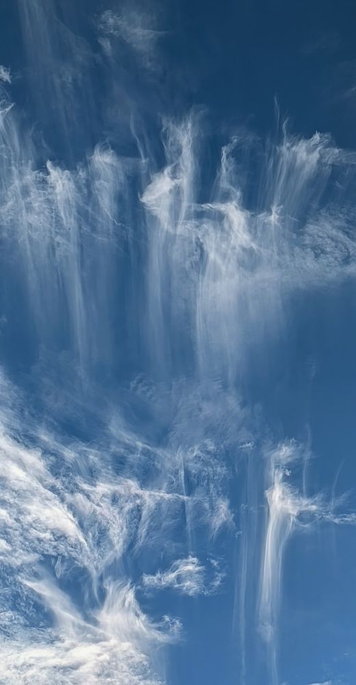 WCSH 6 - Updated December 2025 - 11 Reviews - 1 Congress Sq, Portland ...