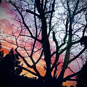 ARDEN PARK POST ACUTE - Updated August 2025 - 3400 Alta Arden Expy ...