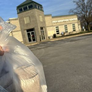 CARE STL - Updated April 2025 - 41 Photos & 11 Reviews - 2700 Walnut Pl ...