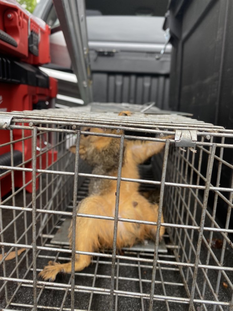 AMBUSH PEST MANAGEMENT - Updated August 2025 - 54 Photos & 23 Reviews ...