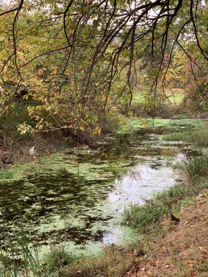 HURD PARK - Updated December 2025 - 53 Photos - W Blackwell St & Park ...