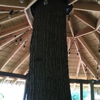 TREEHOUSE WORLD - Updated September 2024 - 106 Photos & 44 Reviews ...