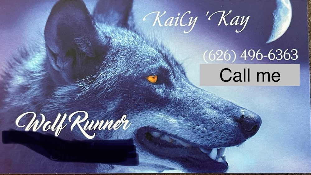 WOLF RUNNER SHUTTLE - Updated October 2025 - Gearhart, Oregon - Airport ...