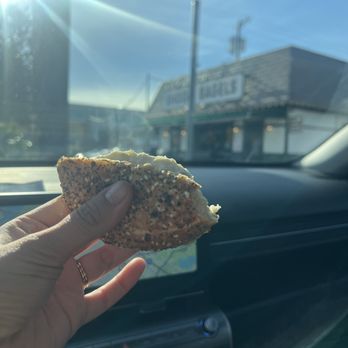 SHUG’S BAGELS - Updated January 2025 - 189 Photos & 165 Reviews - 4001 ...