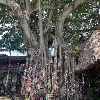 EL TURCO TURKISH FOOD - Updated July 2024 - 653 Photos & 333 Reviews ...