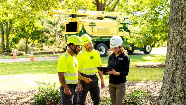 BARTLETT TREE EXPERTS - Updated May 2026 - 67 Photos & 104 Reviews ...