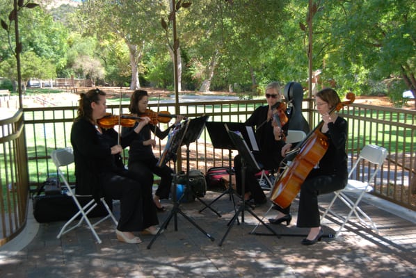 PACIFIC STRINGS - QUARTET, TRIO, DUET - 19 Photos & 17 Reviews ...