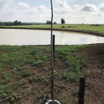 BRAZOS VALLEY TREE FARM NURSERY AND GARDEN CENTER - Updated November 2025 - 34 Photos - 14711 Fm ...