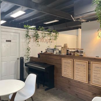 PLANTOEM - Updated November 2024 - 523 Photos & 109 Reviews - 3457 ...