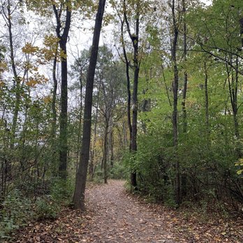 LILLIE PARK - Updated August 2025 - 39 Photos & 13 Reviews - 4200 Platt ...