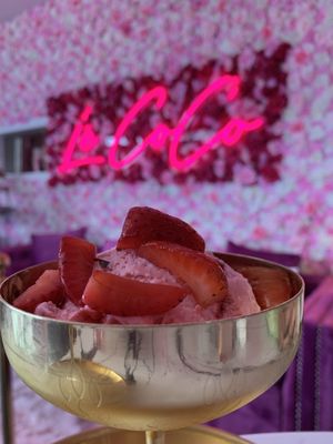 LE COCO - Updated August 2025 - 665 Photos & 334 Reviews - 11901 ...