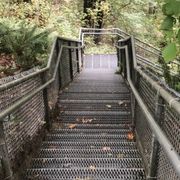 LAKE FENWICK PARK - 81 Photos & 25 Reviews - Parks - 25828 Lake Fenwick ...