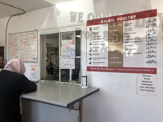 BALADI POULTRY - Updated March 2025 - 42 Photos & 37 Reviews - 8261 ...