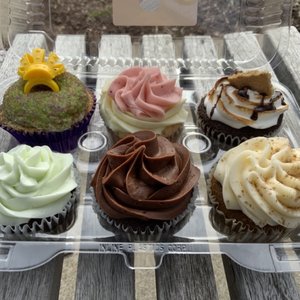 THE CUPCAKE COLLECTION - 355 Photos & 418 Reviews - 1213 6th Ave N ...