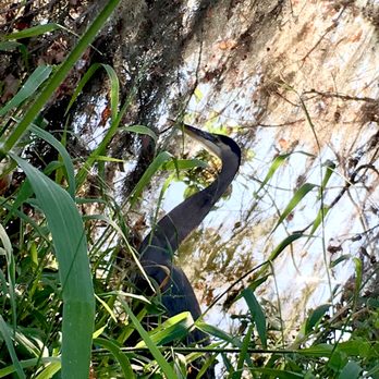 CIRCLE B BAR RESERVE - Updated October 2025 - 635 Photos & 133 Reviews ...