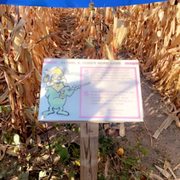 STUCKEY FARM ORCHARD AND CIDER MILL - 154 Photos & 93 Reviews - 19975 ...