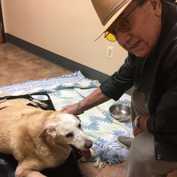 WILSON VETERINARY HOSPITAL - Updated May 2025 - 59 Photos & 306 Reviews ...