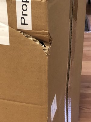 FETCH PACKAGE - 77 Photos & 519 Reviews - 1705 Guadalupe St, Austin ...