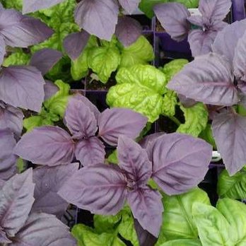 RIVER STREET FLOWERLAND - Updated May 2024 - 119 Photos & 10 Reviews ...