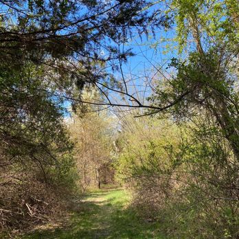 ETRA LAKE PARK - Updated December 2025 - 9 Disbrow Hill Rd, East ...