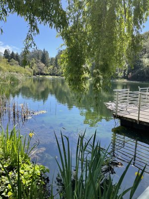 LAKE TEMESCAL - Updated October 2024 - 573 Photos & 162 Reviews - 6500 ...