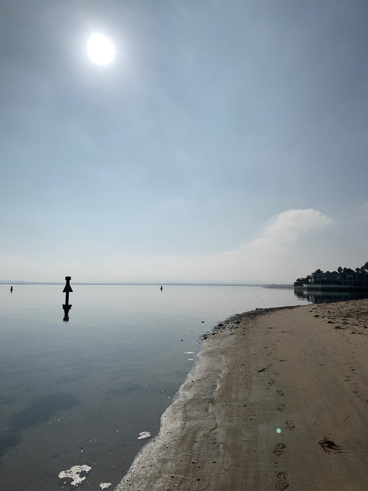 GRAND CARIBE SHORELINE PARK - Updated May 2025 - 598 Grand Caribe Cswy ...