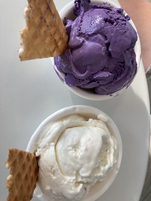 ASTRO CRAFT ICE CREAM-LUTZ - Updated August 2025 - 50 Photos & 20 ...