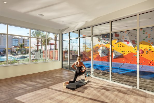 APOLLO TEMPE - 65 Photos & 62 Reviews - 1100 E Apache Blvd, Tempe ...