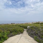 HALIBUT POINT STATE PARK - 153 Photos & 91 Reviews - 16 Garfield Ave ...