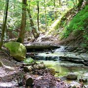 CHESTNUT RIDGE PARK - 168 Photos & 55 Reviews - Disc Golf - 6121 ...