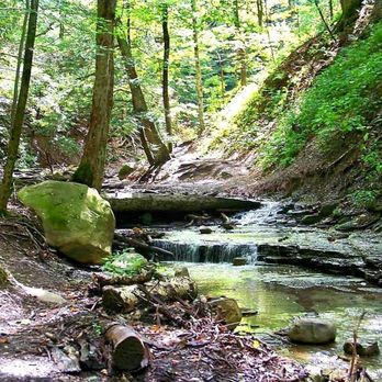 CHESTNUT RIDGE PARK - Updated July 2025 - 157 Photos & 60 Reviews ...