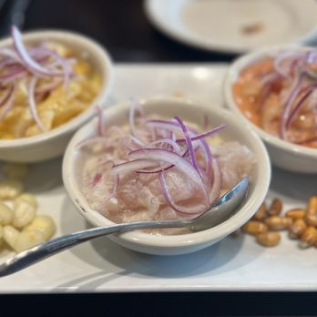 BRAVO PERUVIAN KITCHEN - 339 Photos & 136 Reviews - 9711 W Sample Rd ...