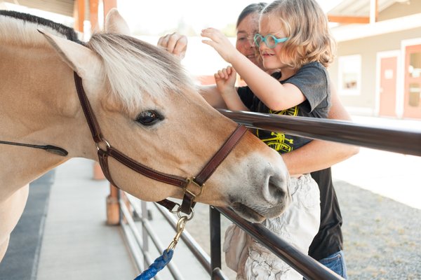 LITTLE BIT THERAPEUTIC RIDING CENTER - Updated June 2026 - 45 Photos ...