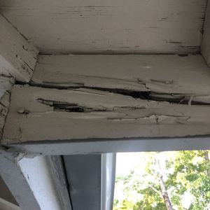 SPIDEXX PEST CONTROL - Updated June 2025 - 10 Reviews - 9410 Prototype ...