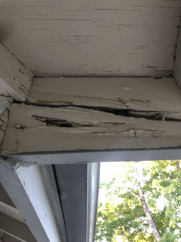 NASH PEST CONTROL - Updated October 2025 - 21 Reviews - 5655 Riggins Ct ...