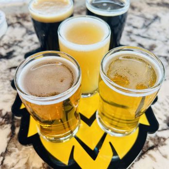HACKAMORE BREWING - Updated January 2026 - 86 Photos & 30 Reviews ...