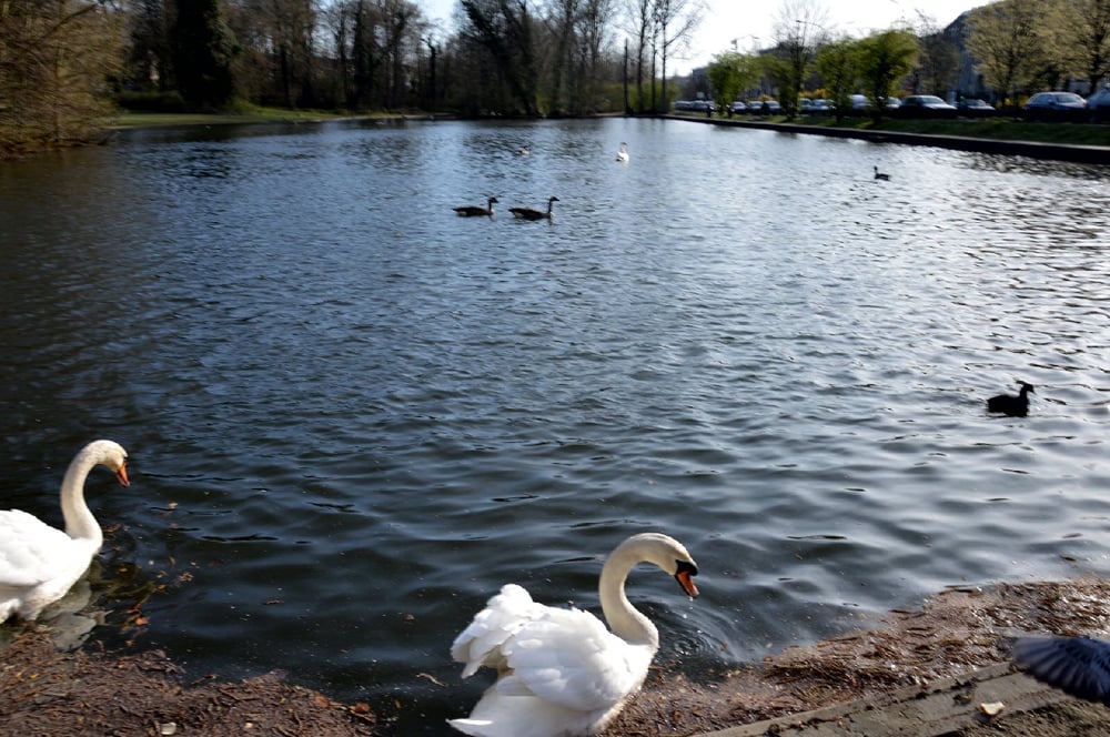 PARC MALOU - Updated March 2024 - Chaussée de Stockel, Woluwe-Saint ...