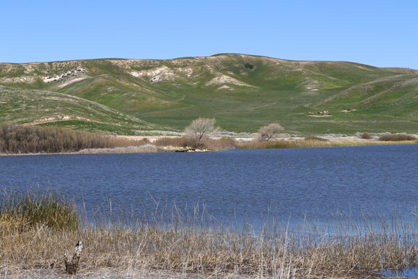 QUAIL LAKE - Updated October 2025 - 10 Photos - N St Rte 138, Los ...