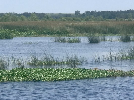 TYRRELL PARK - Updated December 2025 - 14 Photos - Babe Zaharias Dr ...