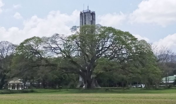UPLB FREEDOM PARK - Updated September 2025 - Jose B. Juliano Ave., Los ...