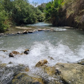 PALM CREEK RV RESORT AND PICNIC GROUNDS - Updated March 2025 - 125 ...