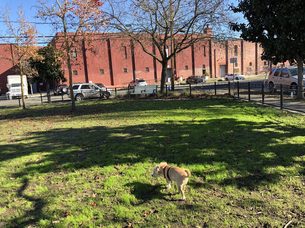 DE TURK ROUND BARN DOG PARK - 23 Photos & 21 Reviews - 819 Donahue St ...
