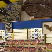 BROOKSIDE TOY & SCIENCE - 18 Photos & 32 Reviews - 330 W 63rd St ...