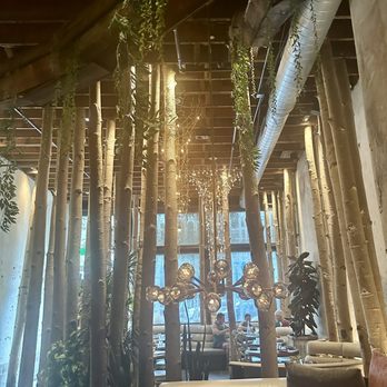 LA FORÊT - Updated March 2025 - 175 Photos & 67 Reviews - 38 S Broadway ...